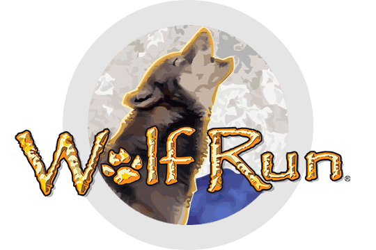More Information on Wild Wolf Slot | PlayNow.com
